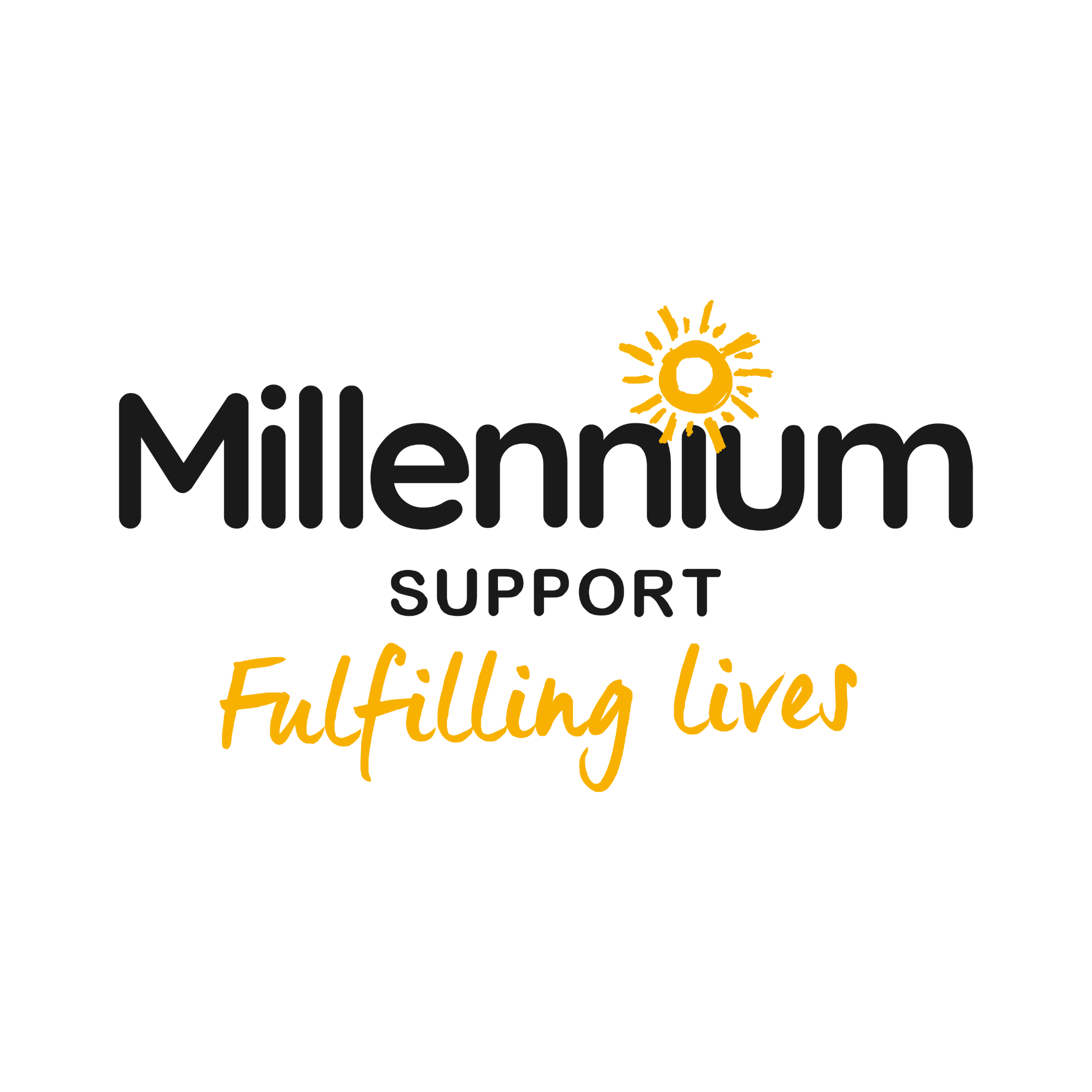 Homepage - Millennium Support